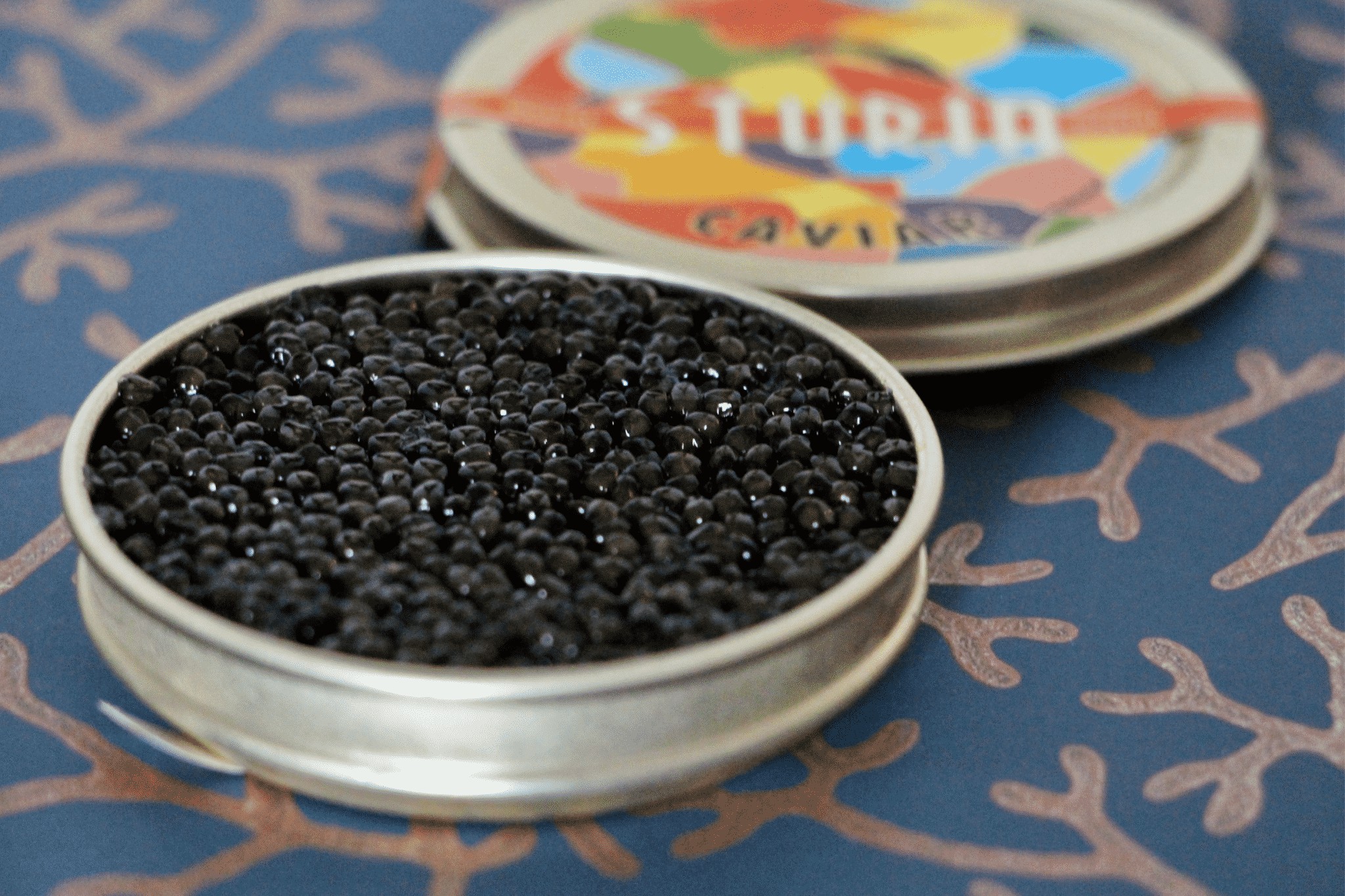 Les Saint Jacques au Caviar, émulsion à la Pancetta - Casserole et Chocolat