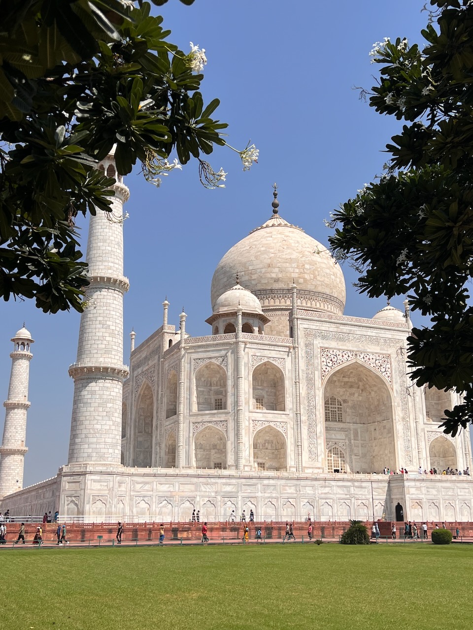 My Trip to India - Casserole et Chocolat